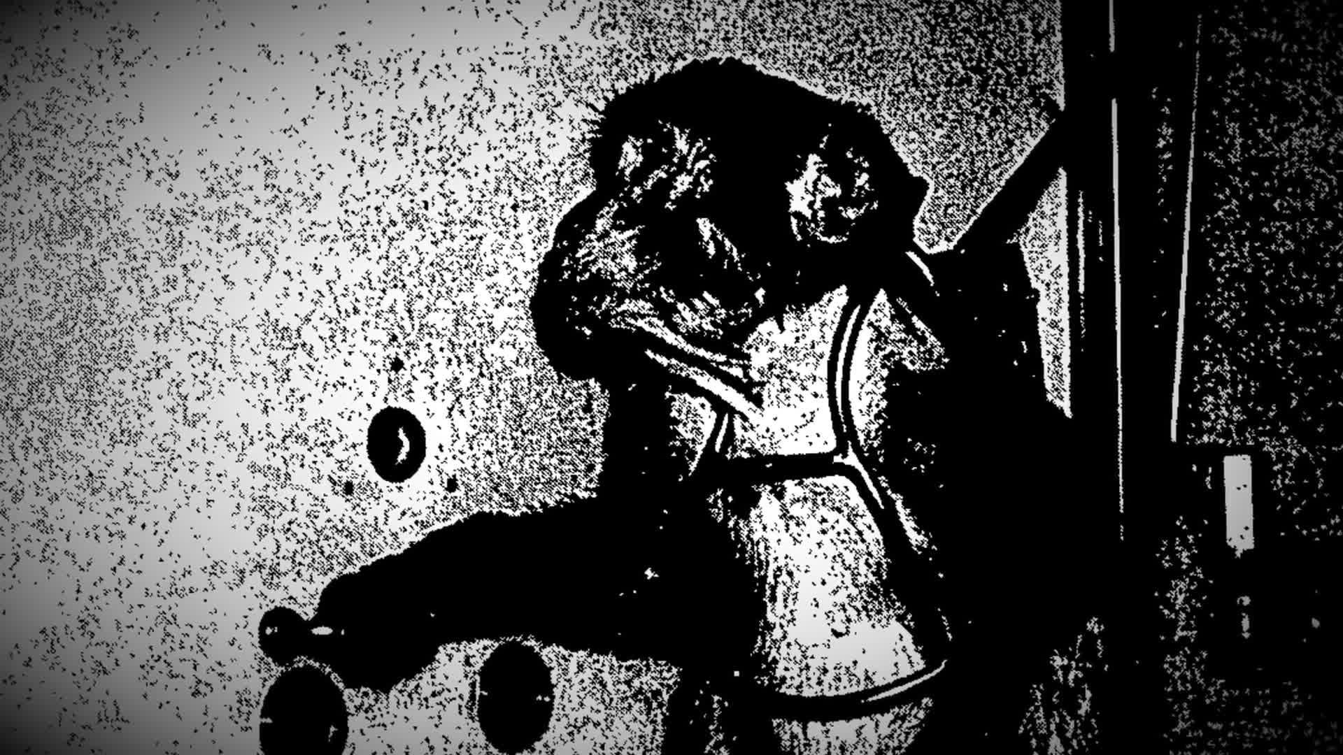 The Dark Side of Science: The Horrific Monkey Drug Experiment 1969 ...