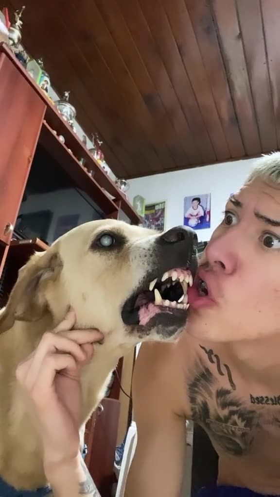 "Meet the Singing Dog: A Musical Marvel!"