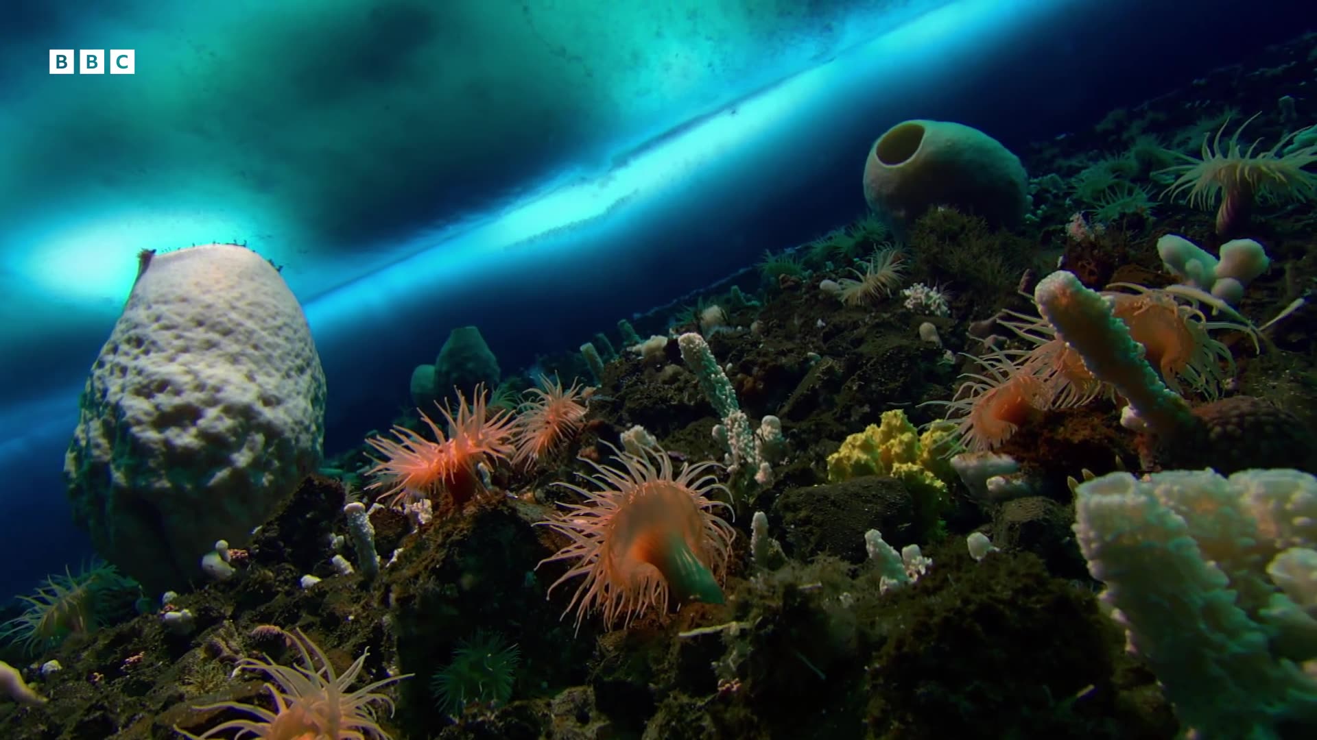 The 'Finger of Death' that Freezes Everything it Touches | Earth's ...