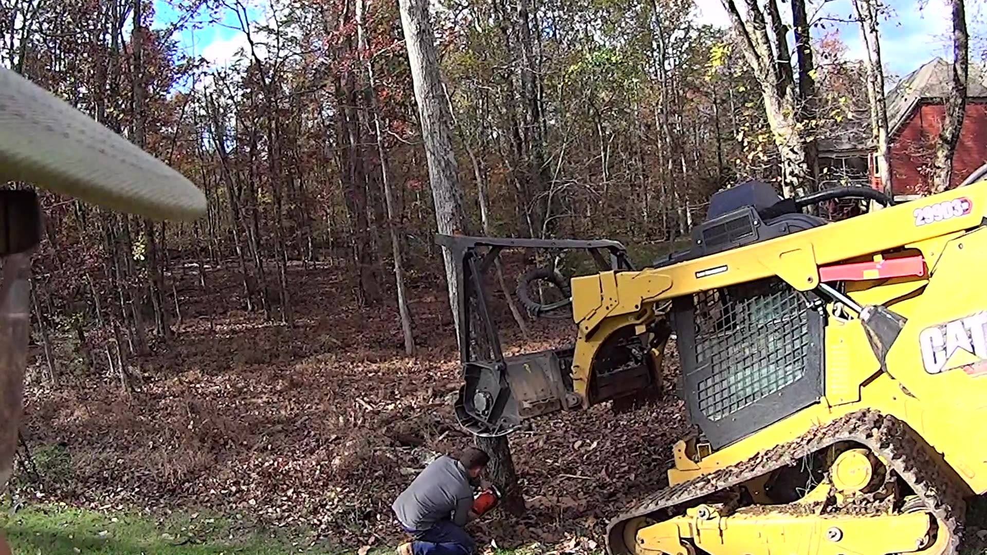 Clear View Land Services / Forestry Mulching / Backyard Extension in ...