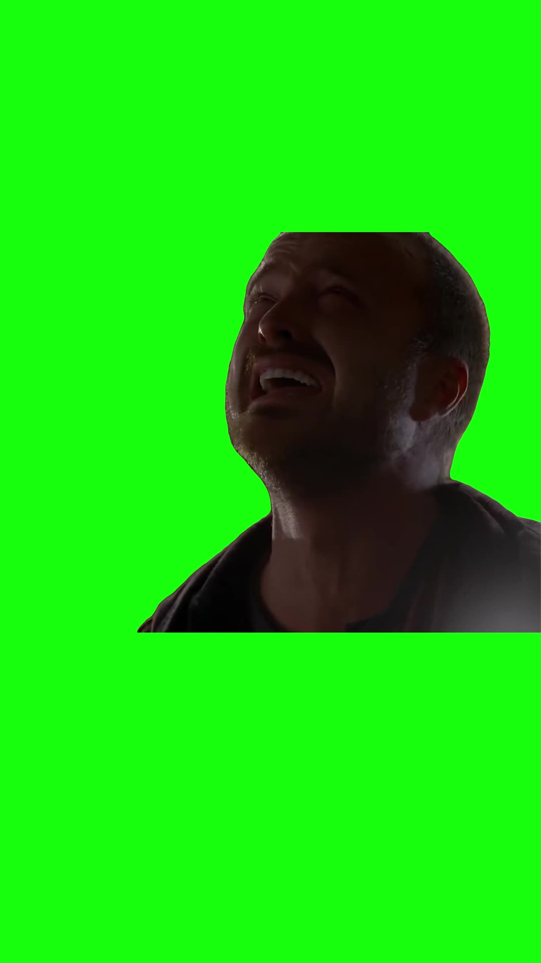 “He Can’t Keep Getting Away With It” Breaking Bad | Green Screen
