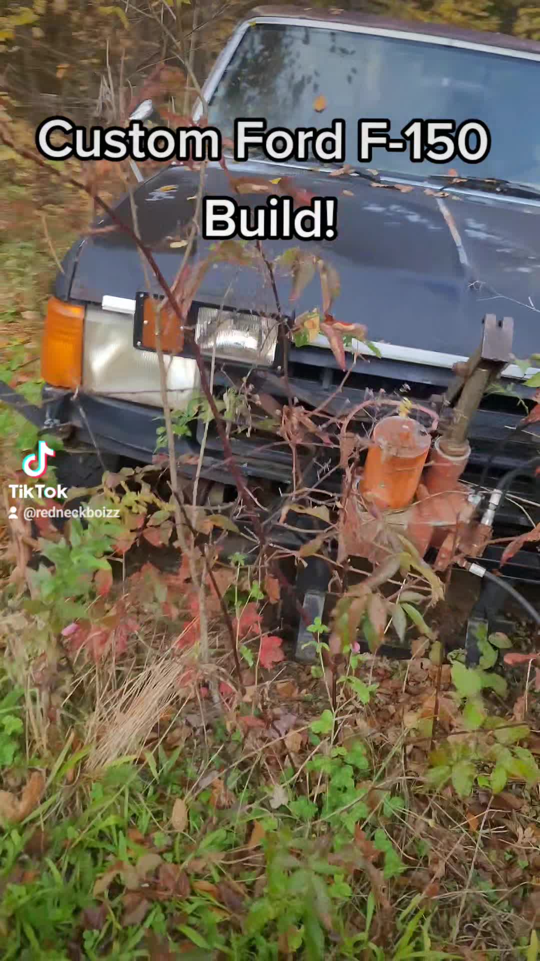 Custom Ford F-150 build