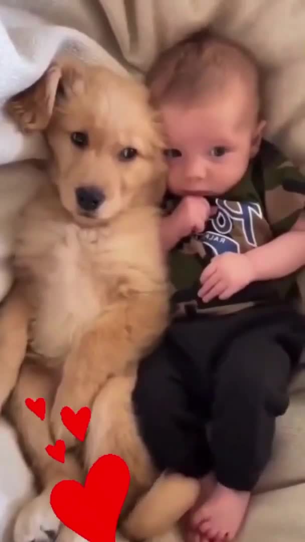 Cute baby with Cute puppy 😍| Powerful bonding 😍| 👶🐕🦮🐕‍🦺