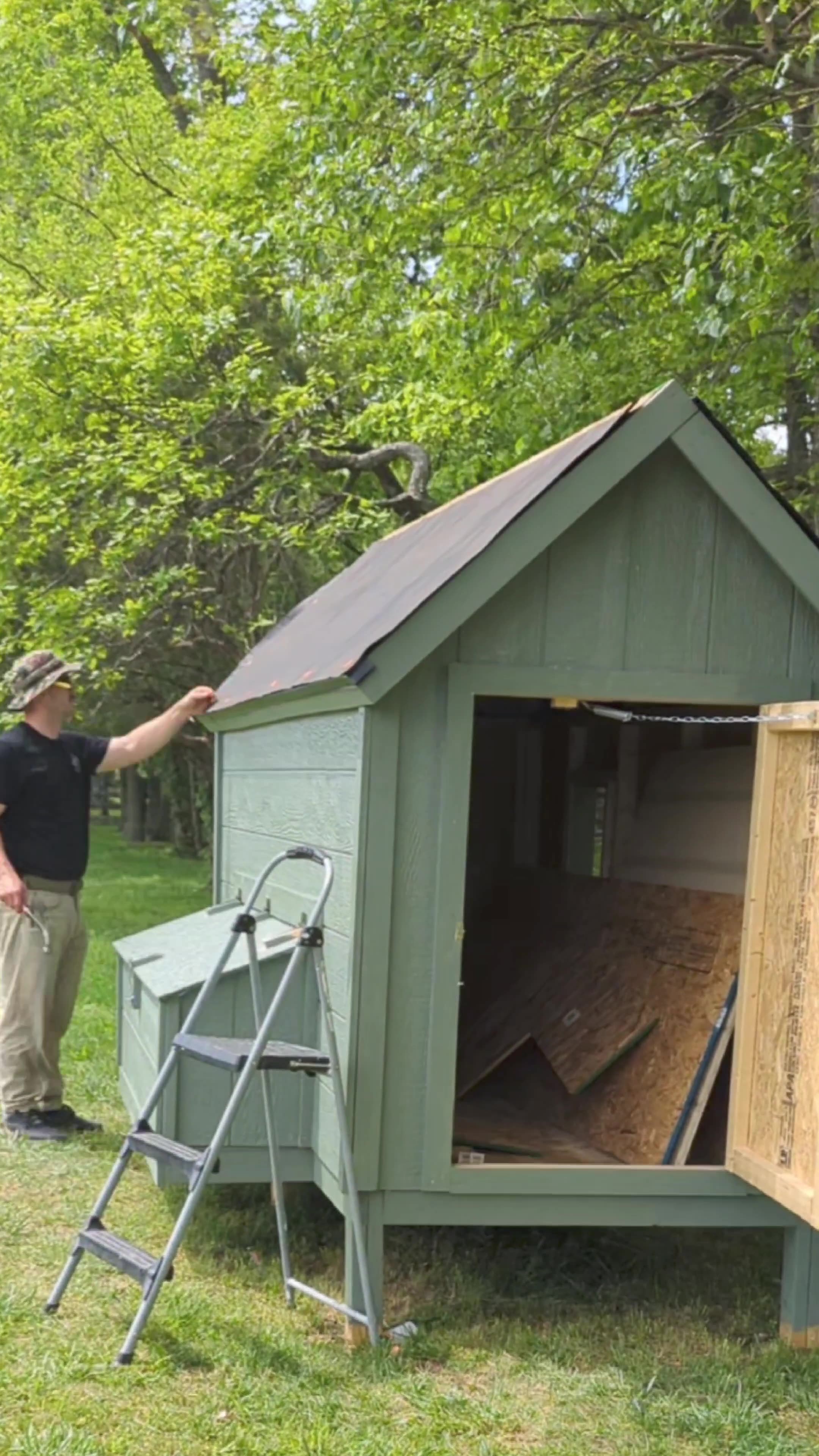 Chicken coop roof