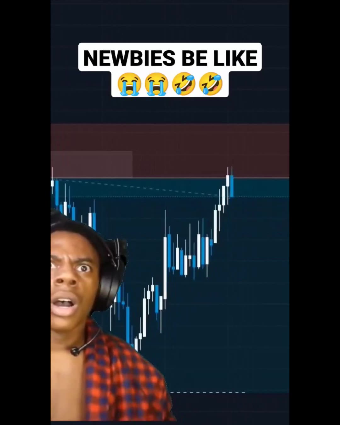 Newbies be like