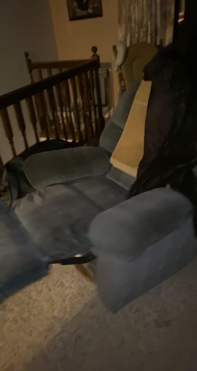 German Shepherd Puppy Takes Recliner for a Spin
