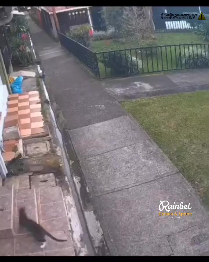 Biker Gets Drop Kicked