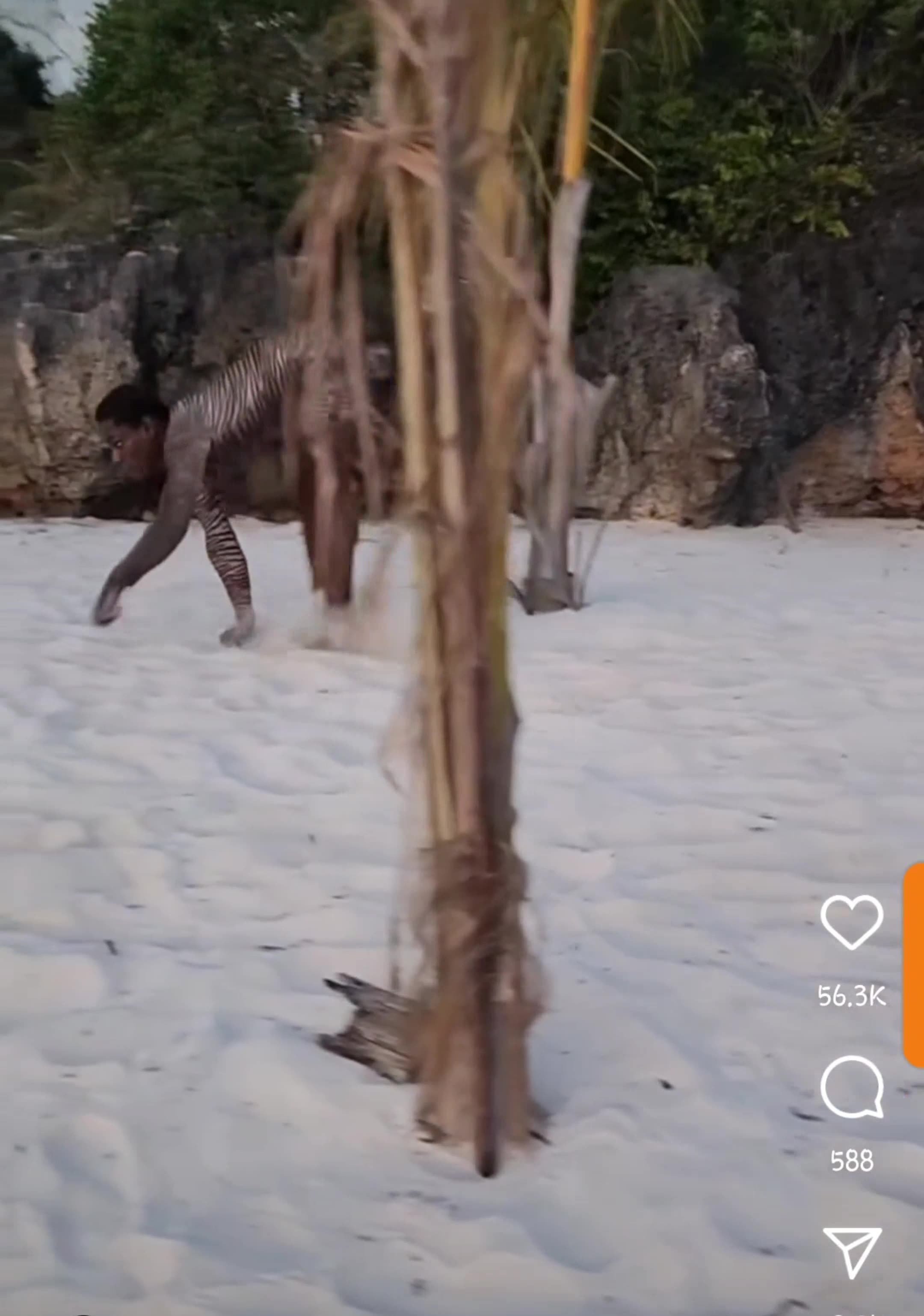 "Monkey See, Monkey Do! Man's Hilarious Ape Impression Leaves Viewers ...