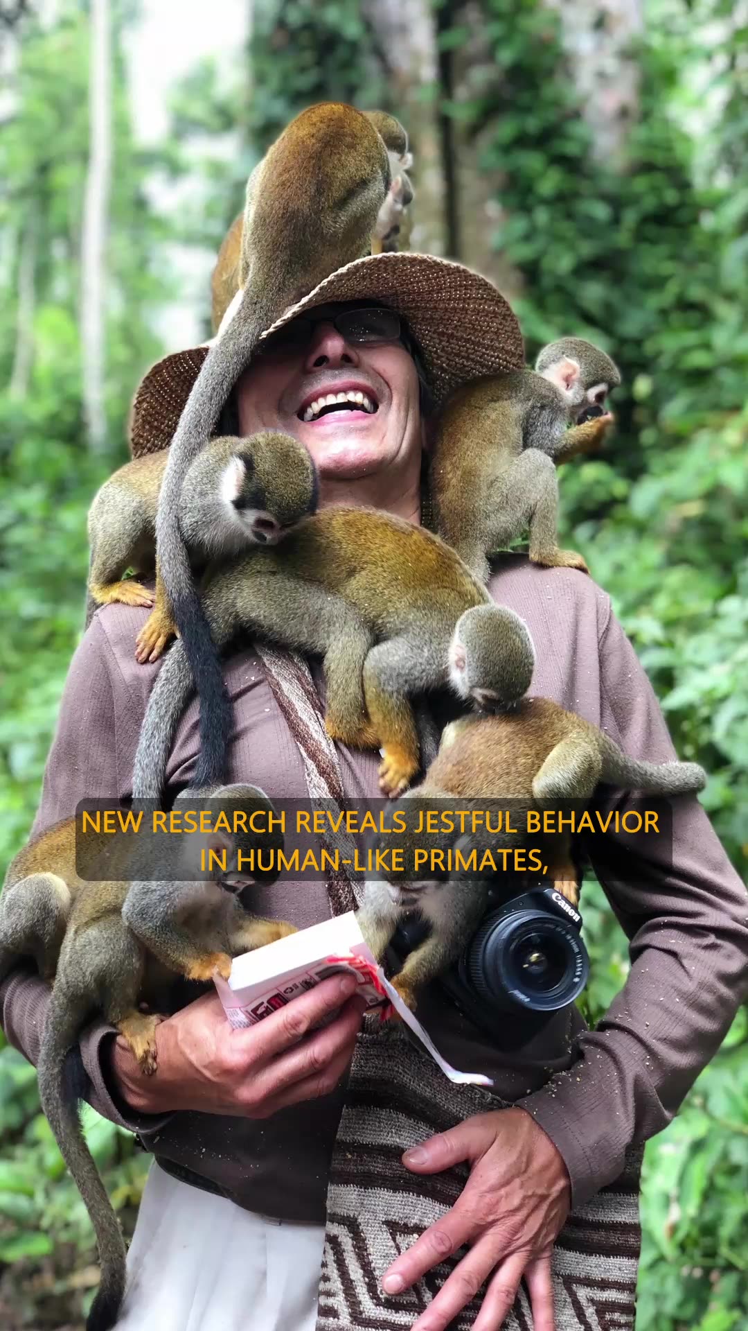 Primate Pranks: Why Do Human-Like Primates Tease?