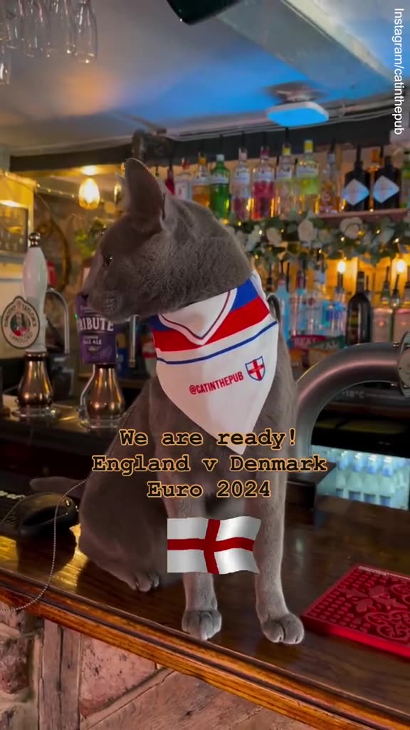 A purr-fect pint! The cats that love a traditional British boozer