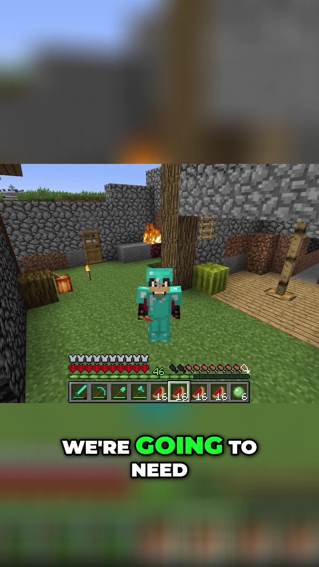 Mastering Squid Farming: Surviving the Jungle Challenge