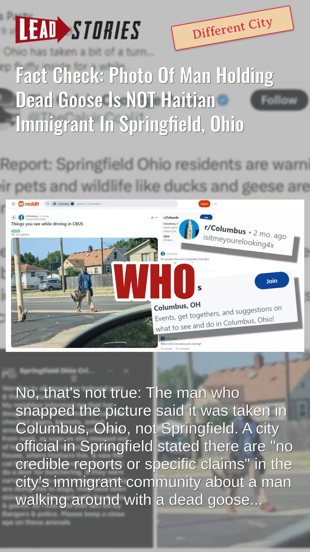 Fact Check: Photo Of Man Holding Dead Goose Is NOT Haitian Immigrant In ...