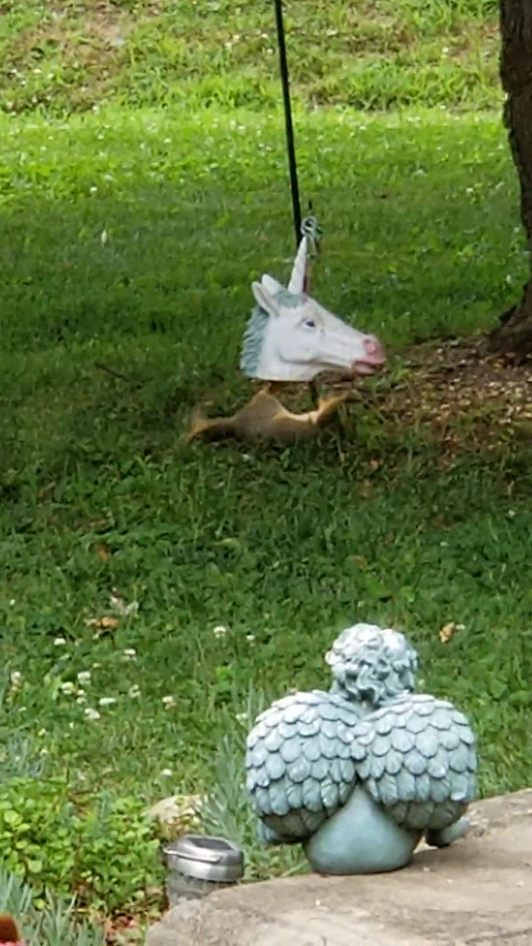 Squirrel Plays With Unicorn Shaped Feeder
