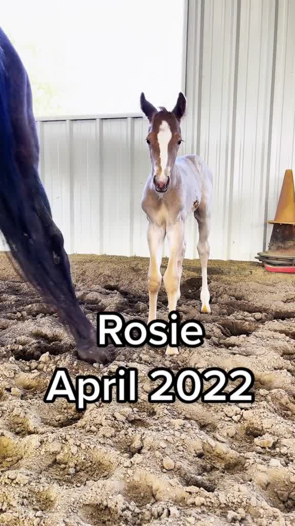 Rosie’s almost 3 month Transformation😍