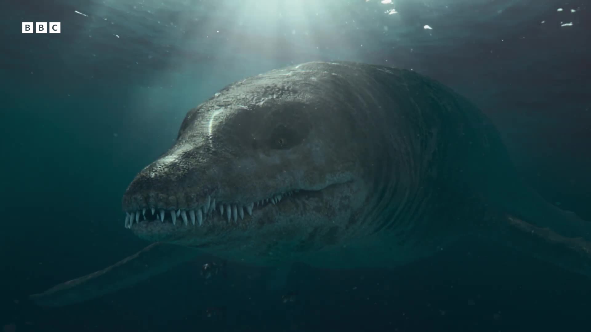 The Tyrannosaurus Rex of the Seas | Attenborough and the Giant Sea ...