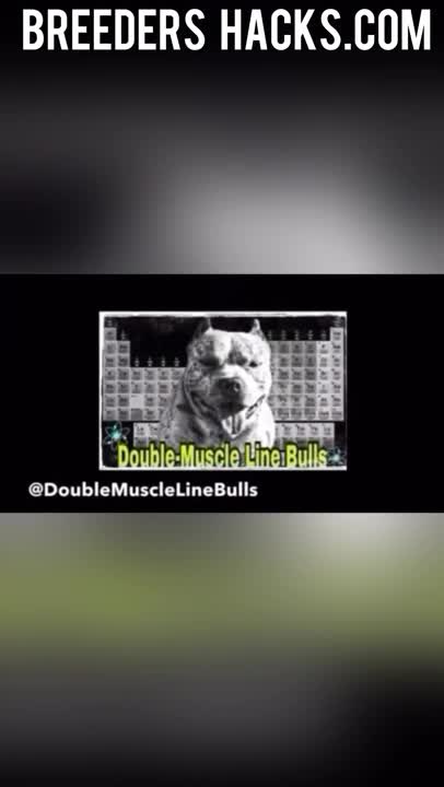 Dog Breeding courtesy & etiquette!