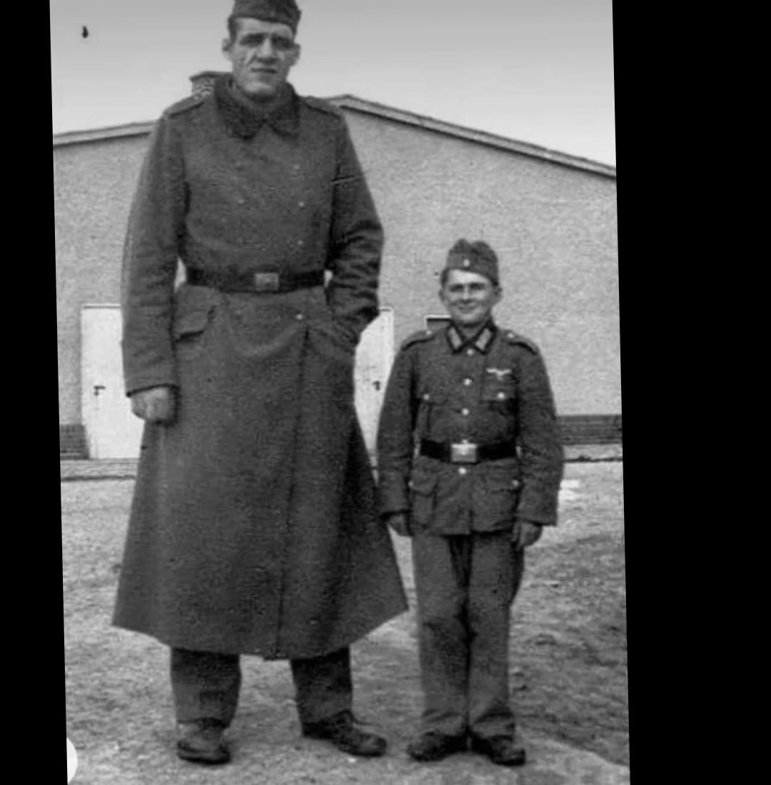 Stunning Proof of Extinct Giants | Lost History Of Giants That Built ...