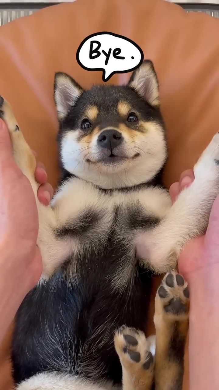 Manyu immersive treatment spa asmr #rumble #popular #viral