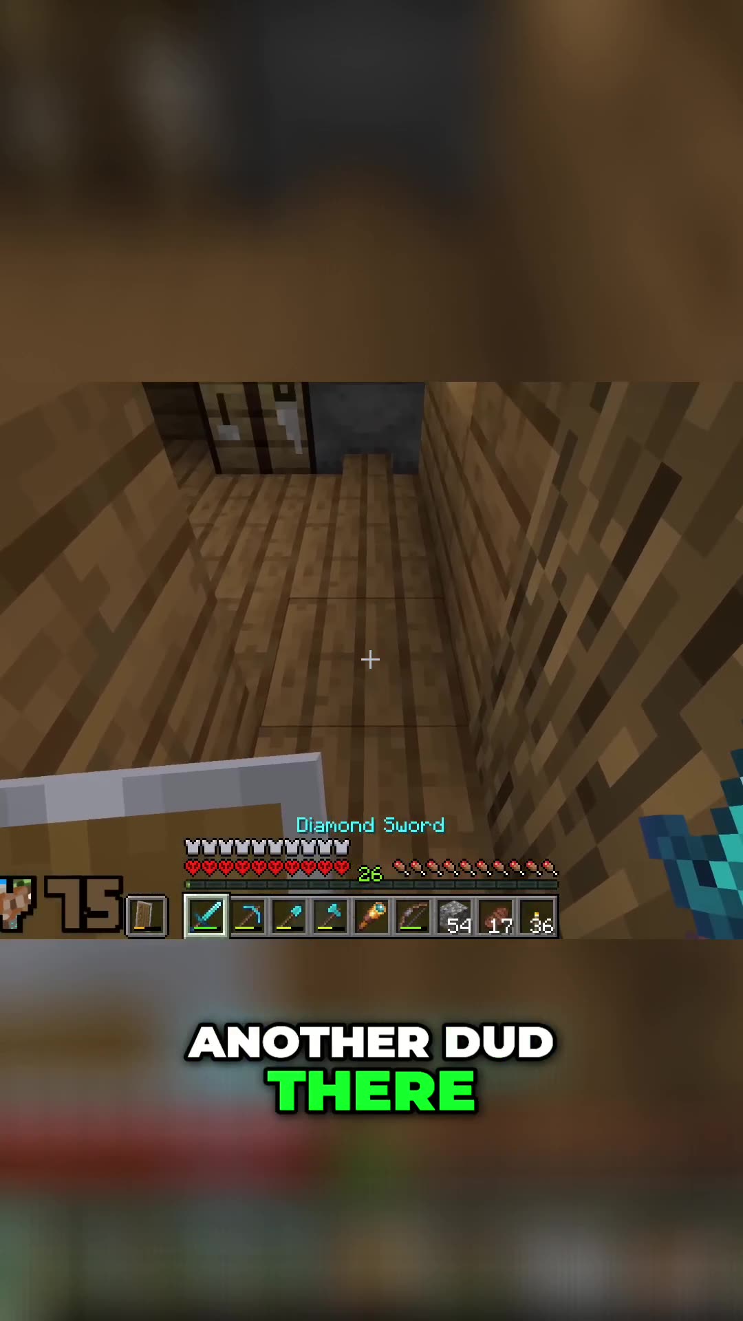 Treasure Hunting in the Swamp: Epic Witch Hut Adventure