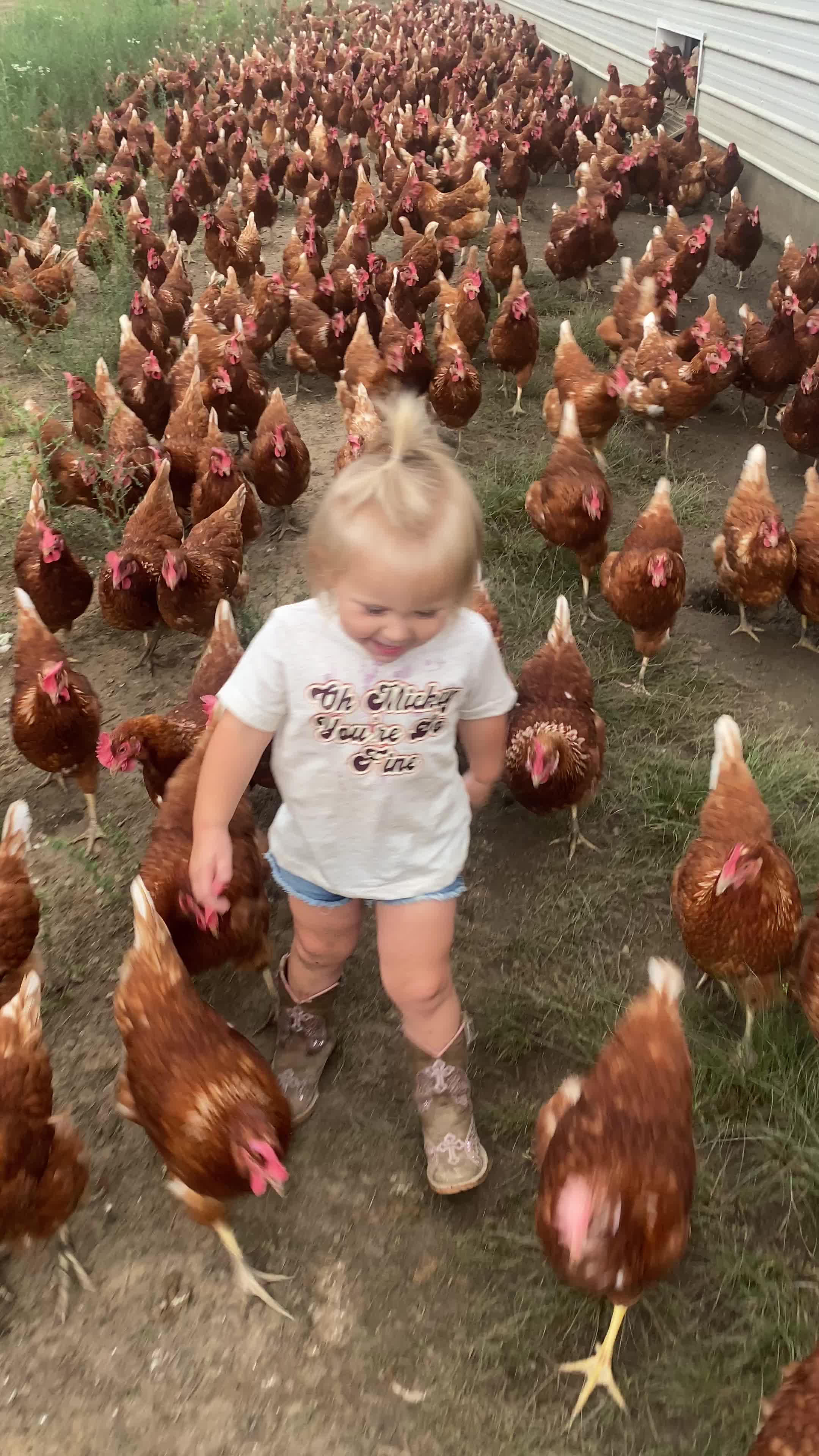 Adorable Little Girl And Her Army Of Chickens