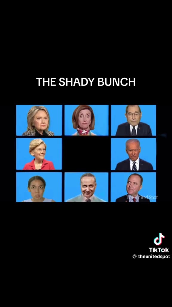THE SHADY 😎BUNCH