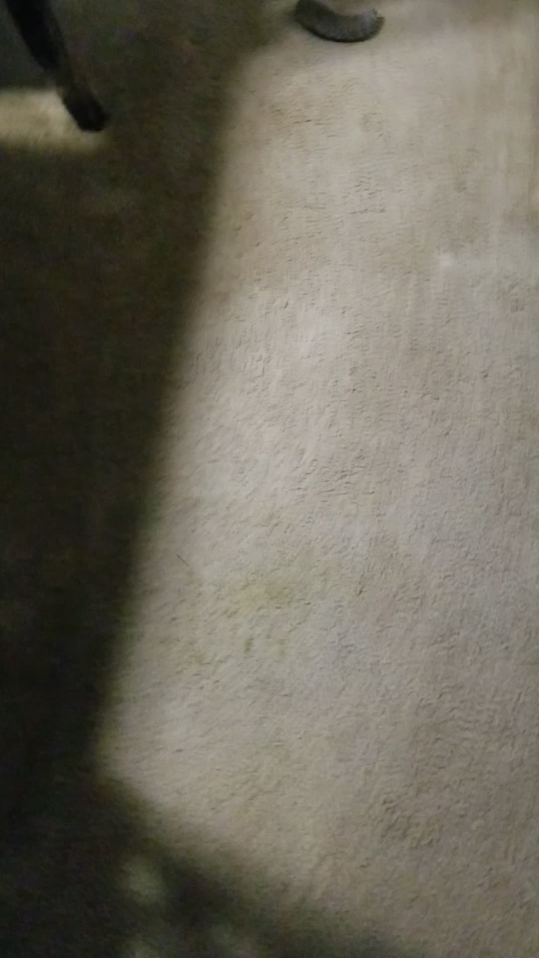 Not my bottle