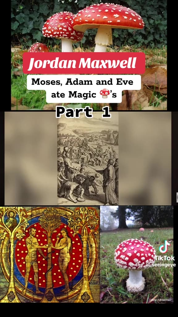 JORDAN MAXWELL~ MOSES ~ADAM AND EVE~ ATE MAGIC 🍄