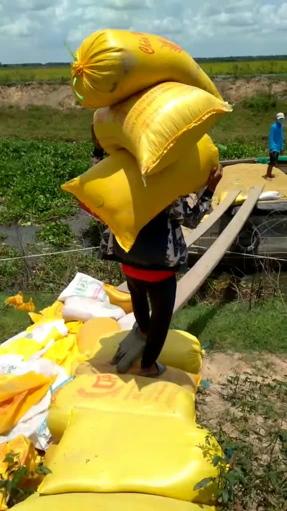 young people carry rice 1 time 3 bags