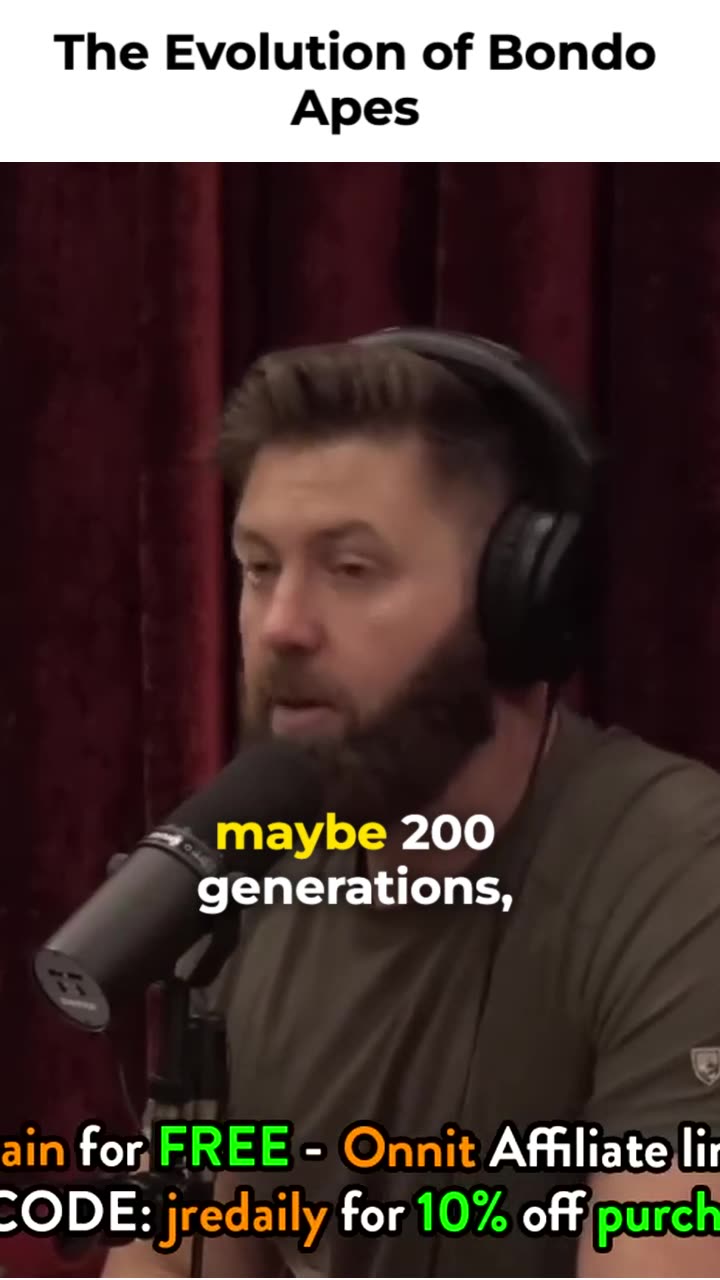 The evolution of bondo apes