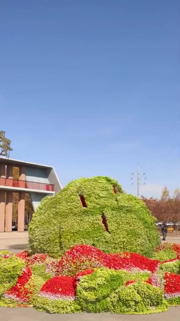 DL Panda Viral Videos on tiktok
