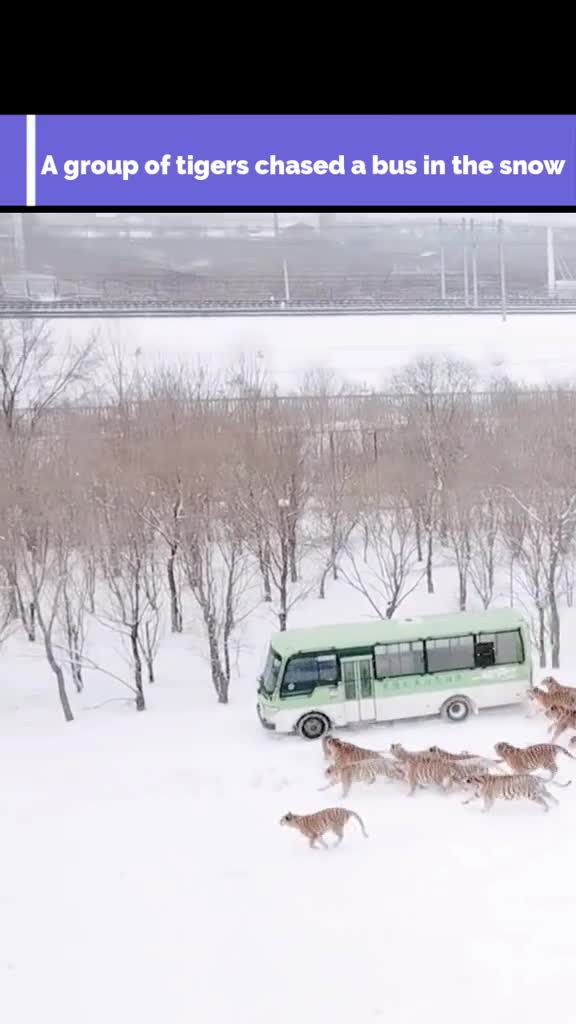 Wow 🤩 So cool 😎