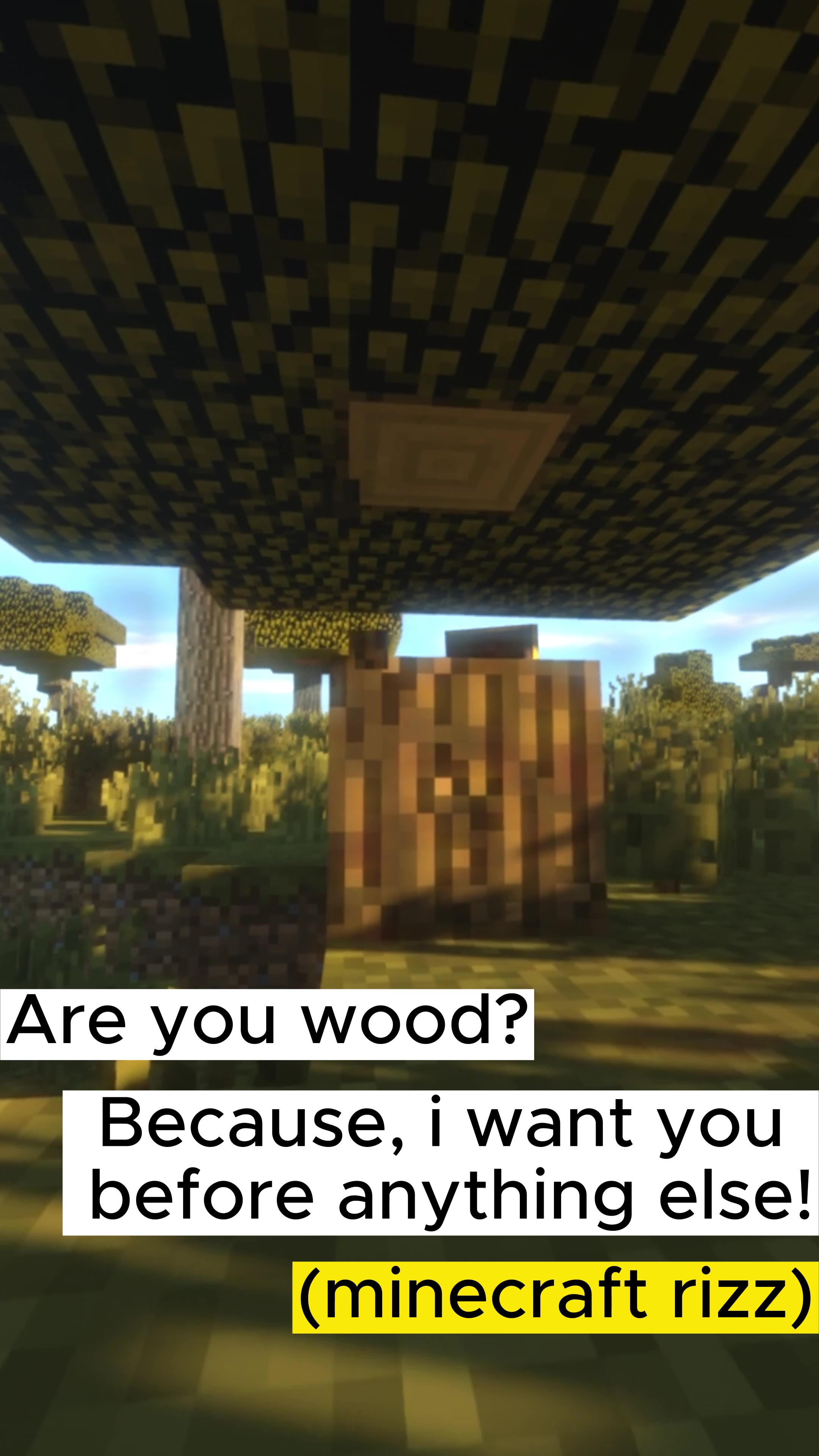 Minecraft Rizz Pickup Line