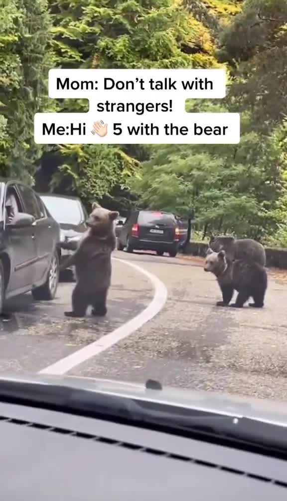 Fast friend handshake, bear shaking hands