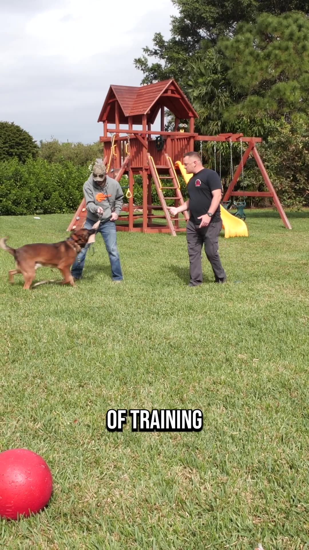 Impulse Control With Patty Mayo’s Belgian Malinois