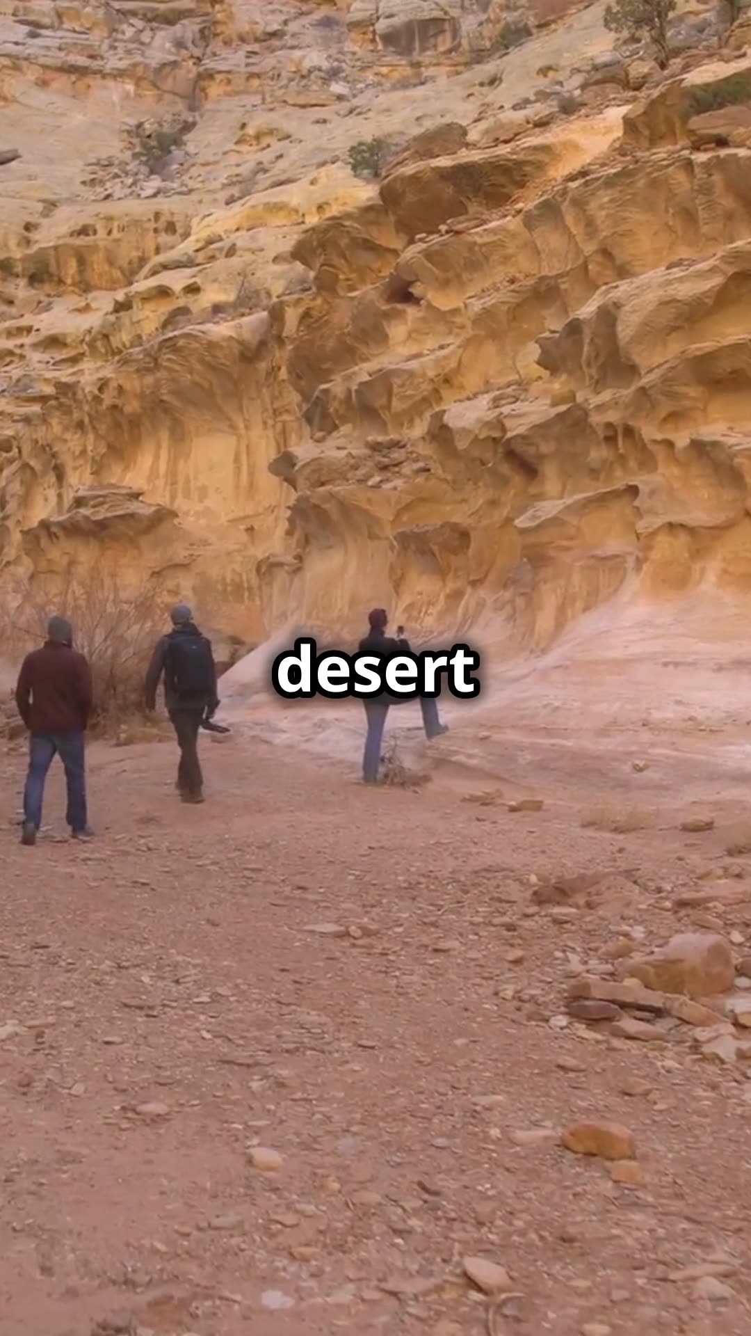 🏜️ The Maze: America’s Most Dangerous Desert Labyrinth🏜️