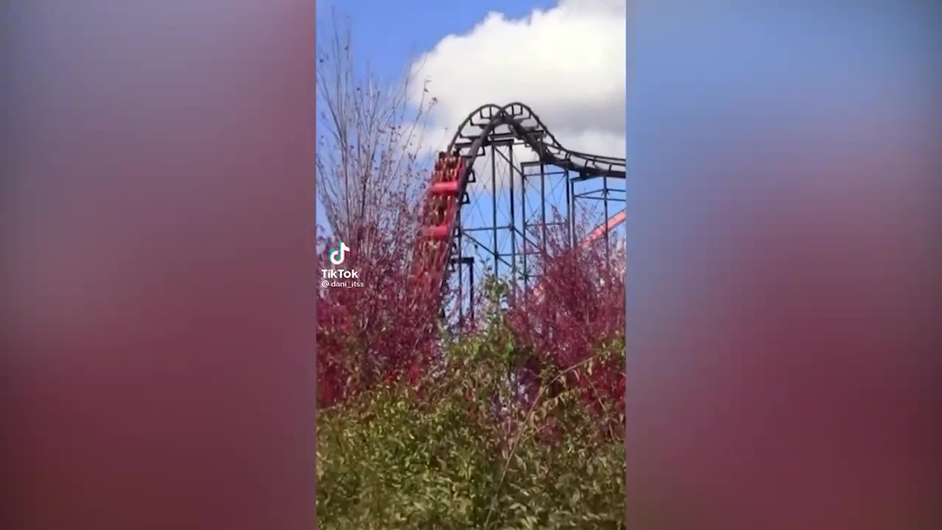 Daisy Daisy creepy TikTok trend PART 169