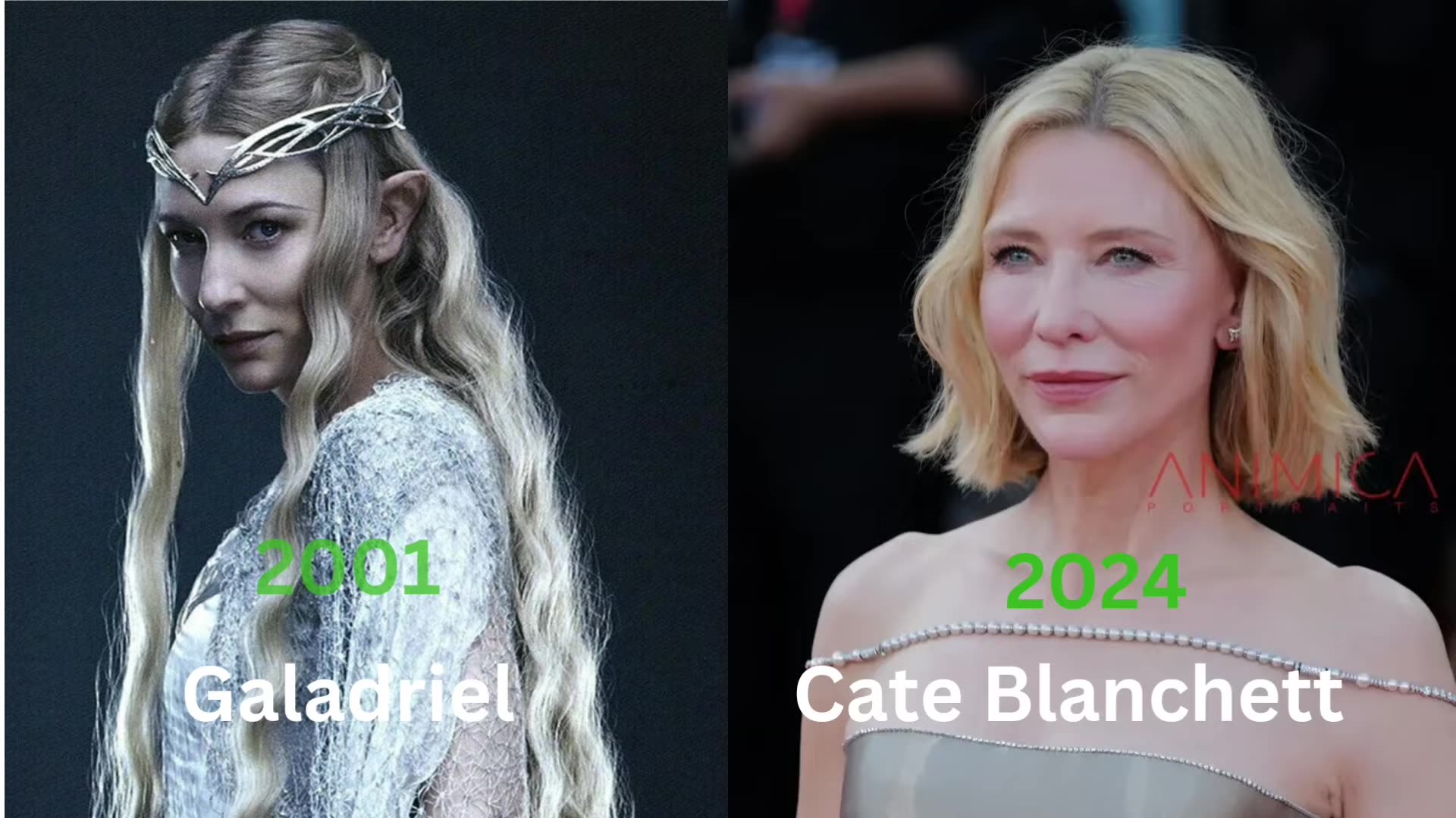 Then and Now: The Lord of the Rings Cast (2001 vs 2024) - Amazing ...