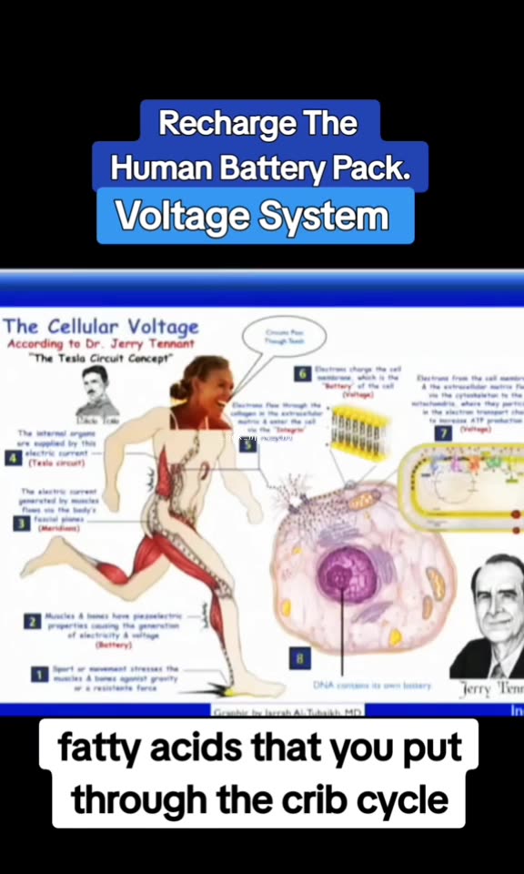 RECHARGE THE HUMAN BATTERY PACK VOLTAGE SYSTEM