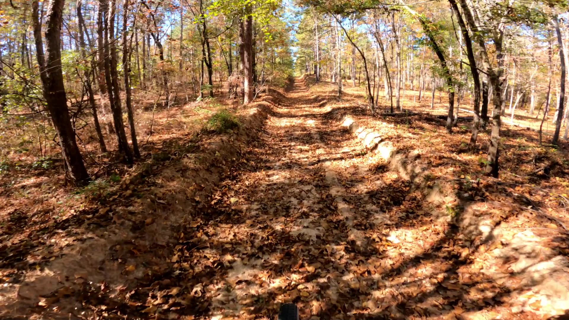 Fat Bike - 26mi Full Ride | Mongoose Argus | Handlebar Mount | Helmet Mount