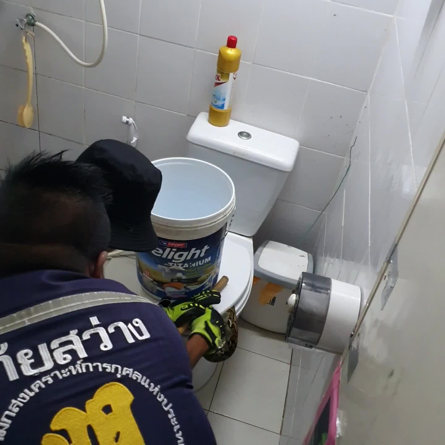 Removing a Giant Snake From the Toilet