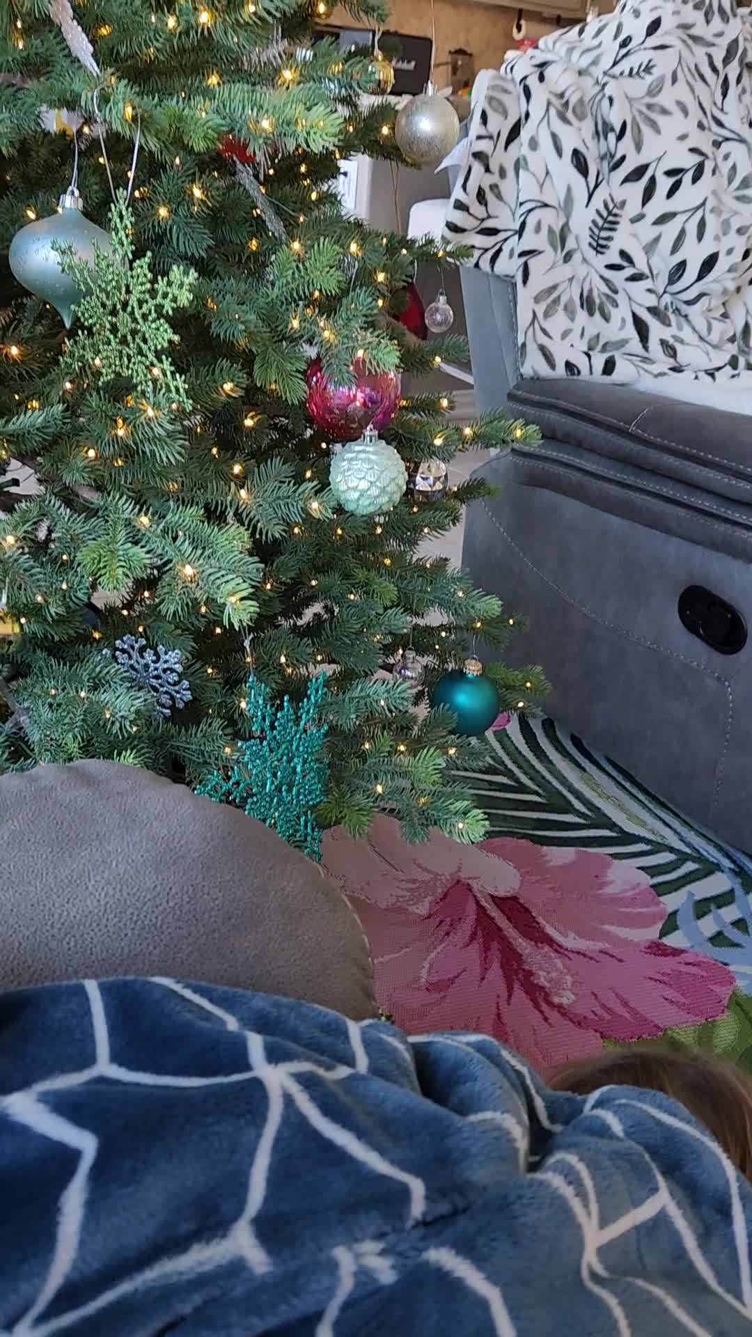 Merry Christmas from the Gunnels family!