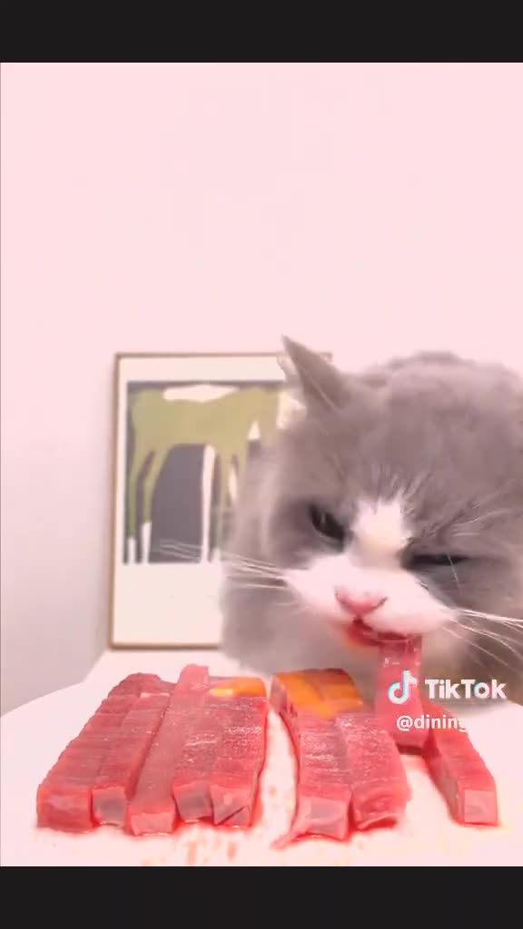 animal eating asmr #animal #eating #asmr #animaleatingasmr