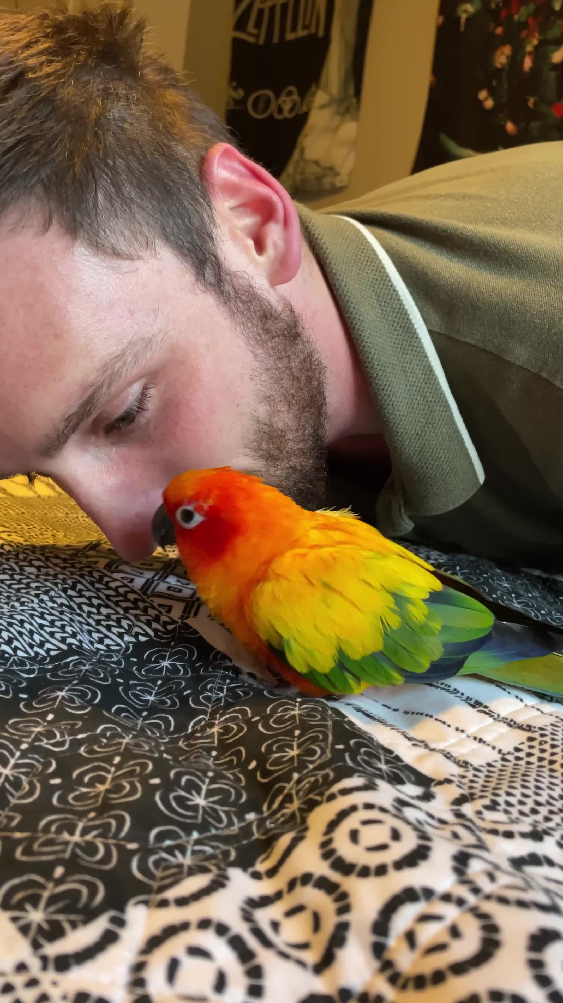 Parrot having a conversation with his dad