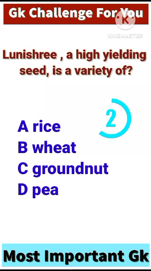 Riddles || Riddles in English || riddles with answer || Gk || # ...