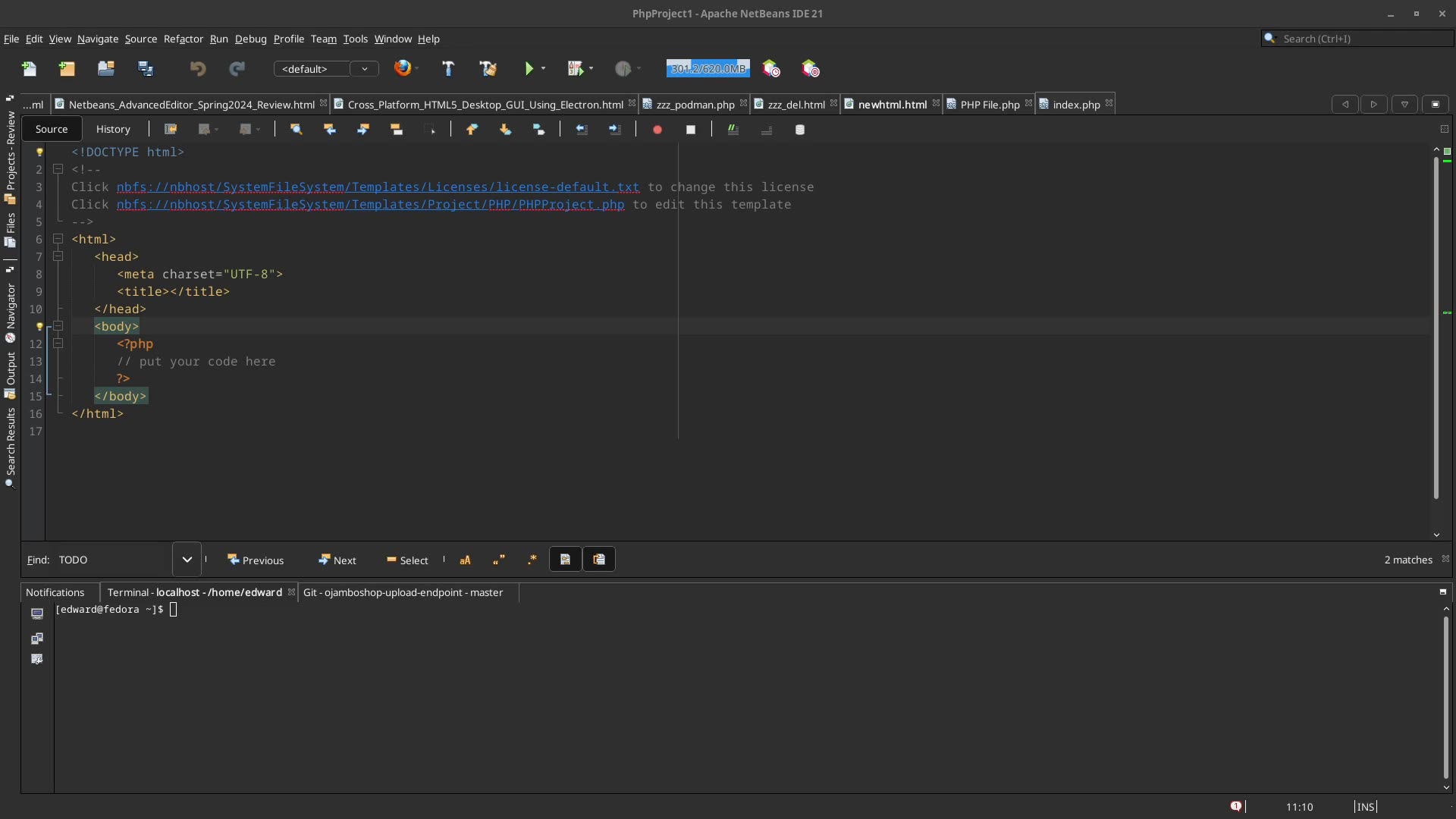 Netbeans Advanced Editor Spring 2024 Review