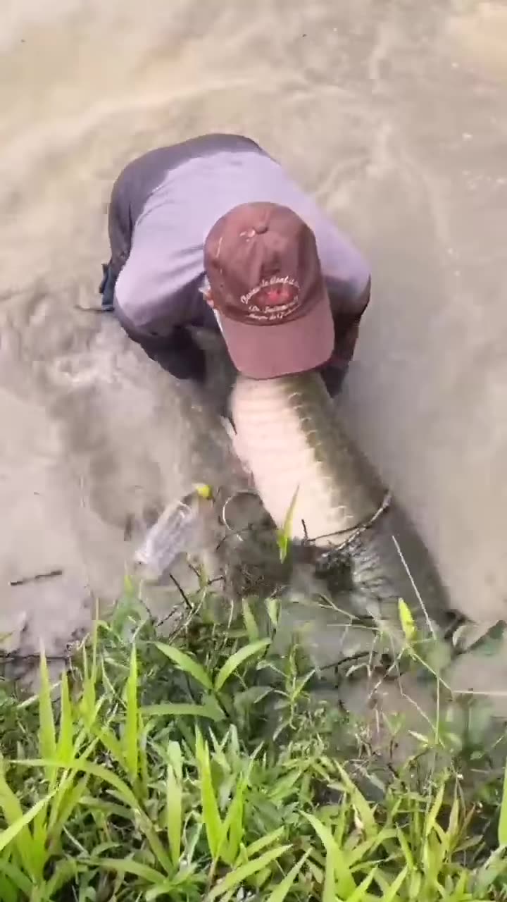 GIANT Amazon River Monster Discovered?