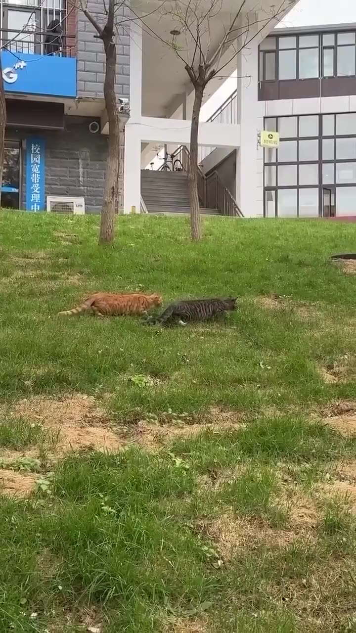 Day 145 on GOD's calendar, of 153 day count spring/summer Pentecost rapture