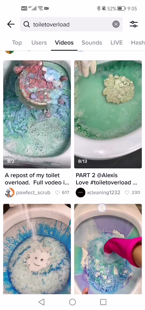 TikTok trend: Toilet overload