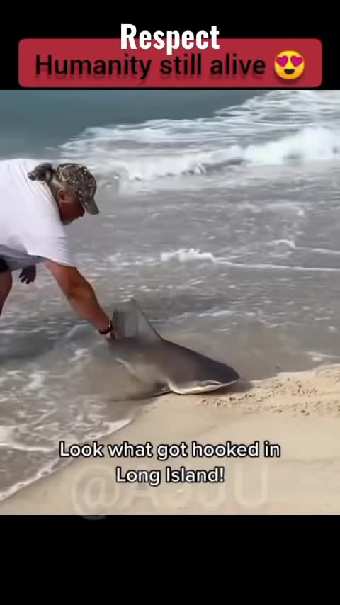 Humanity is Live man save shark fish
