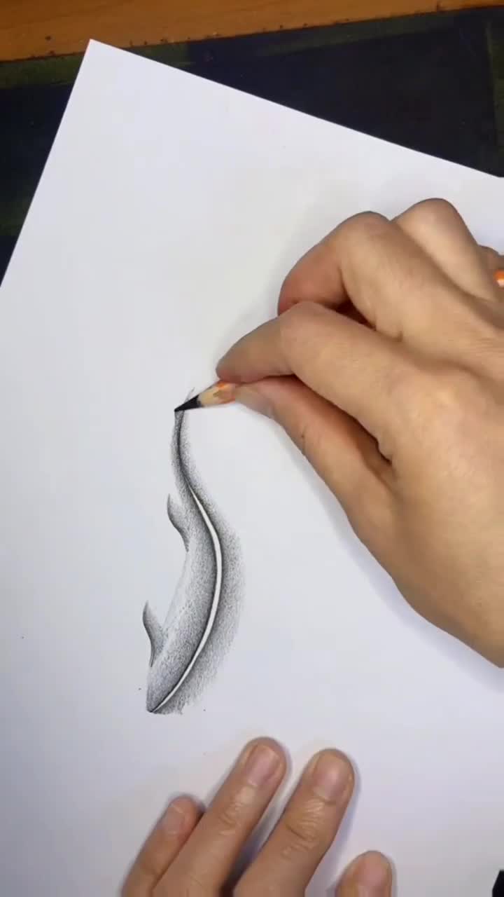 Pencil drawing art